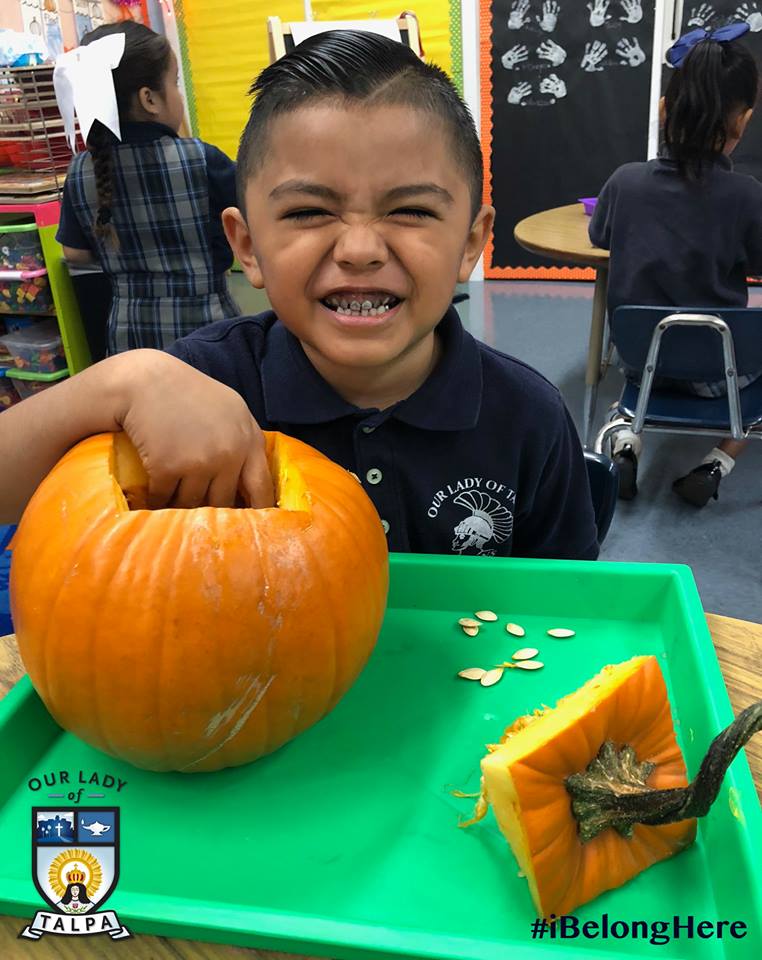 Transitional Kindergarten | Our Lady of Talpa School